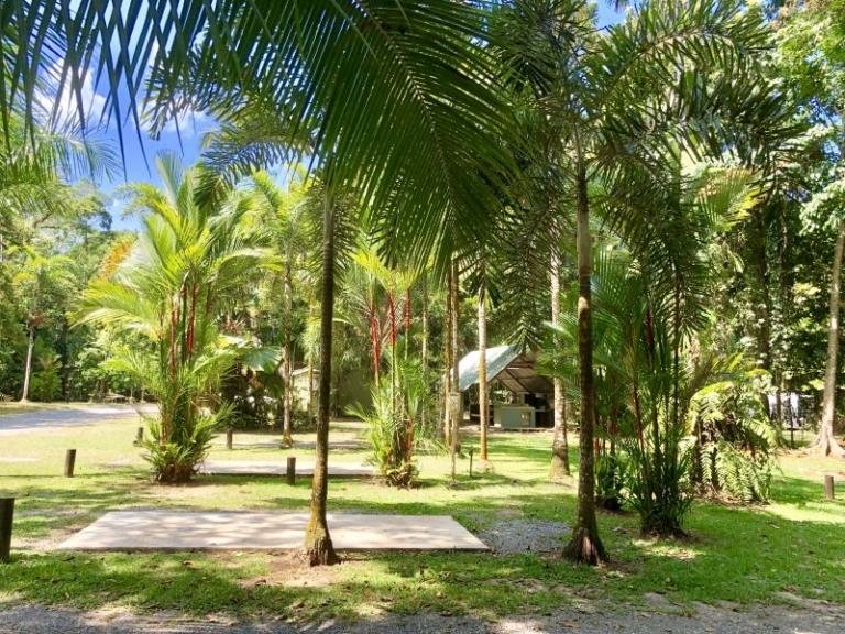 dog friendly camping queensland