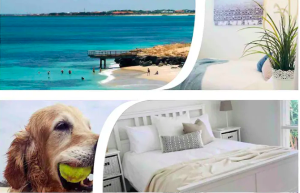 Pet-Friendly Perth & Surrounds
